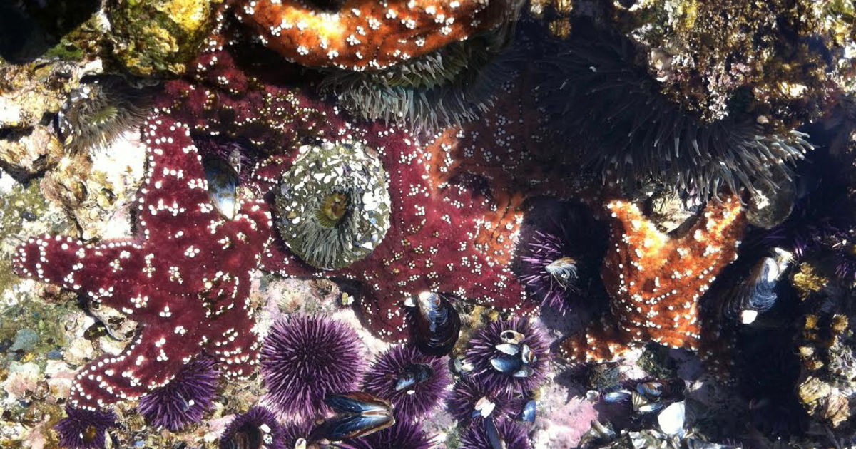 Ecology & Evolution | UChicago Biosciences | The University of Chicago