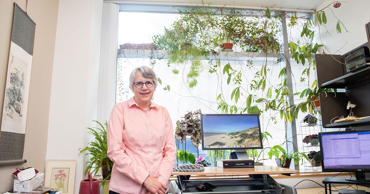 Phoebe Rice wins Quantrell Award | UChicago Biosciences | The ...