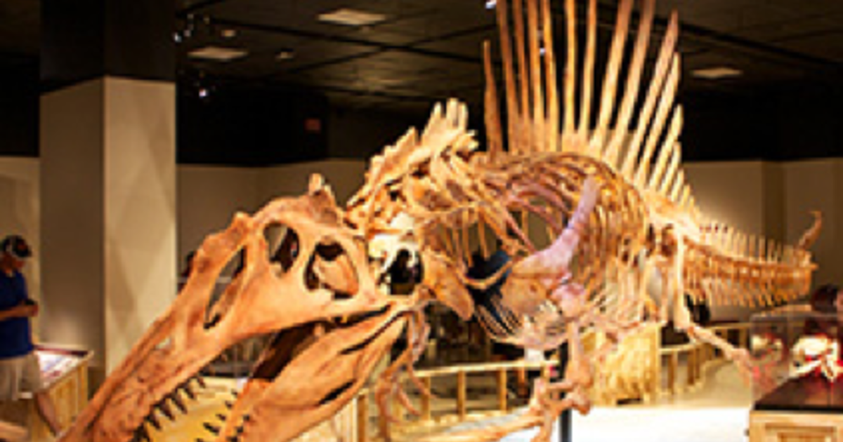 Paul Sereno and Nizar Ibrahim: helped solve the puzzle of Spinosaurus ...